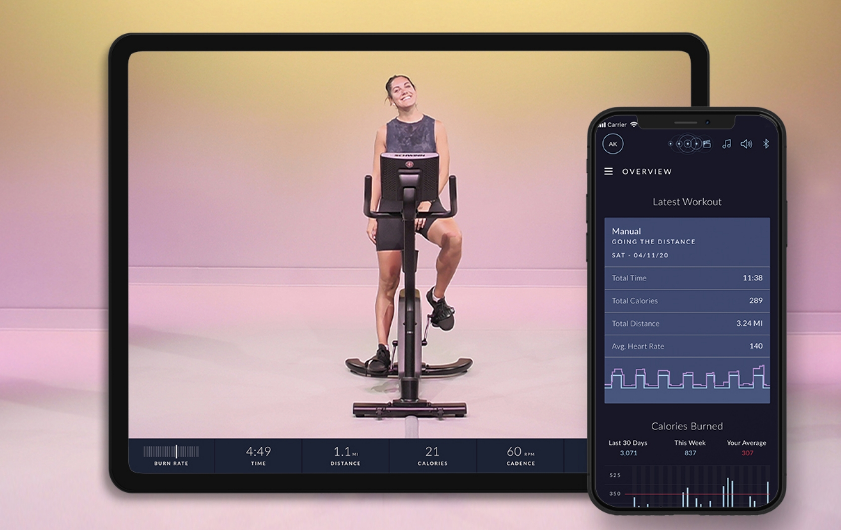 Schwinn 590E Elliptical | Schwinn